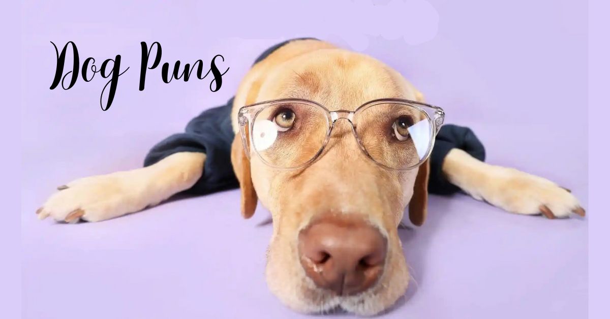 200+ Dog Puns That'll Make You Howl: The Ultimate Guide for Dog Lovers